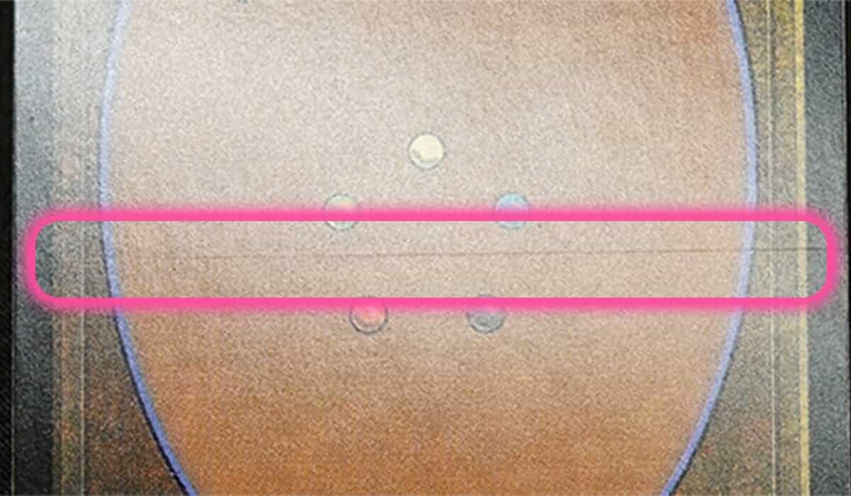 2/5/24 | Conditioning Release Notes | All Product Lines | Roller Lines ...